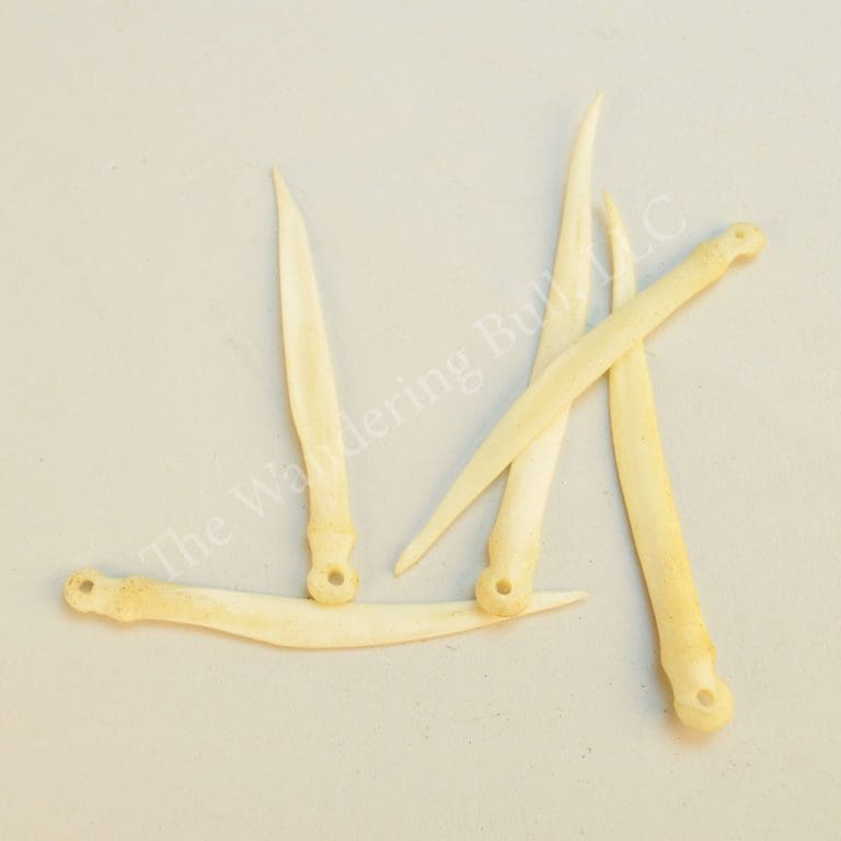 Deer Bone Needles - Wandering Bull Native American Shop